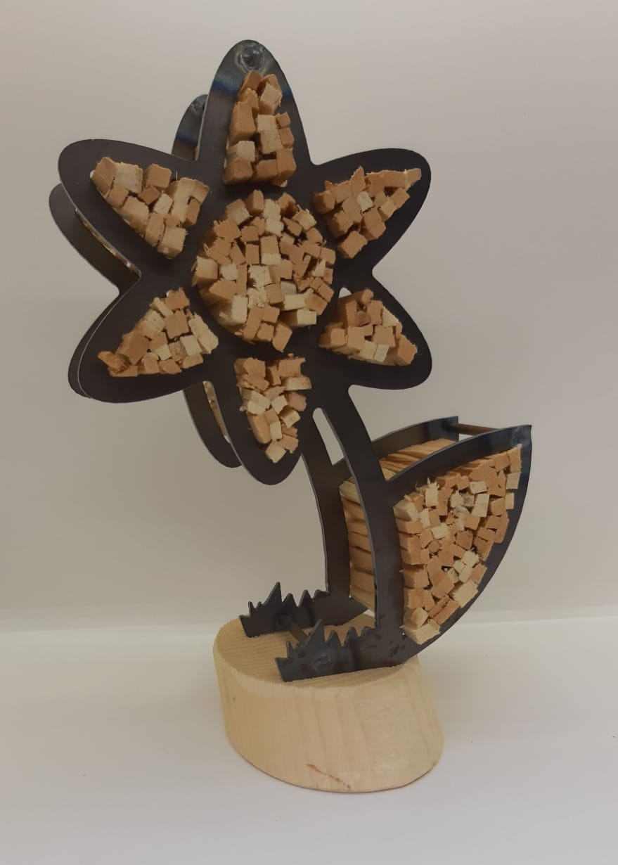 Zirben-Edelweiß – Lechtaler Naturwerkstatt